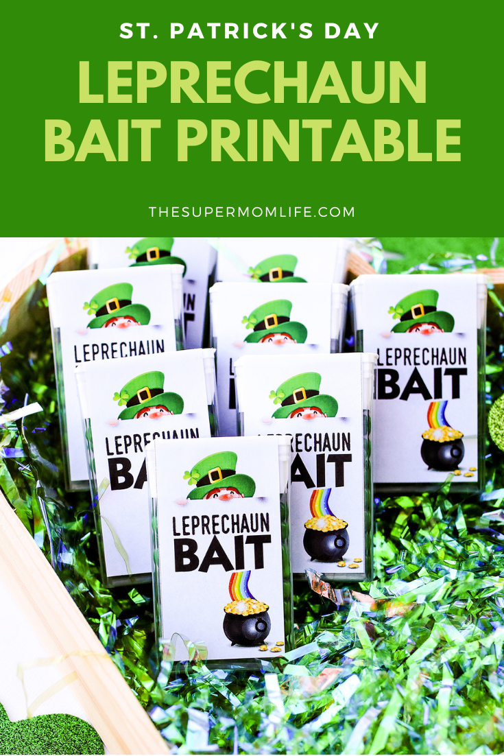 St. Patrick's Day Leprechaun Bait for Kids Plus Printable - The Super ...
