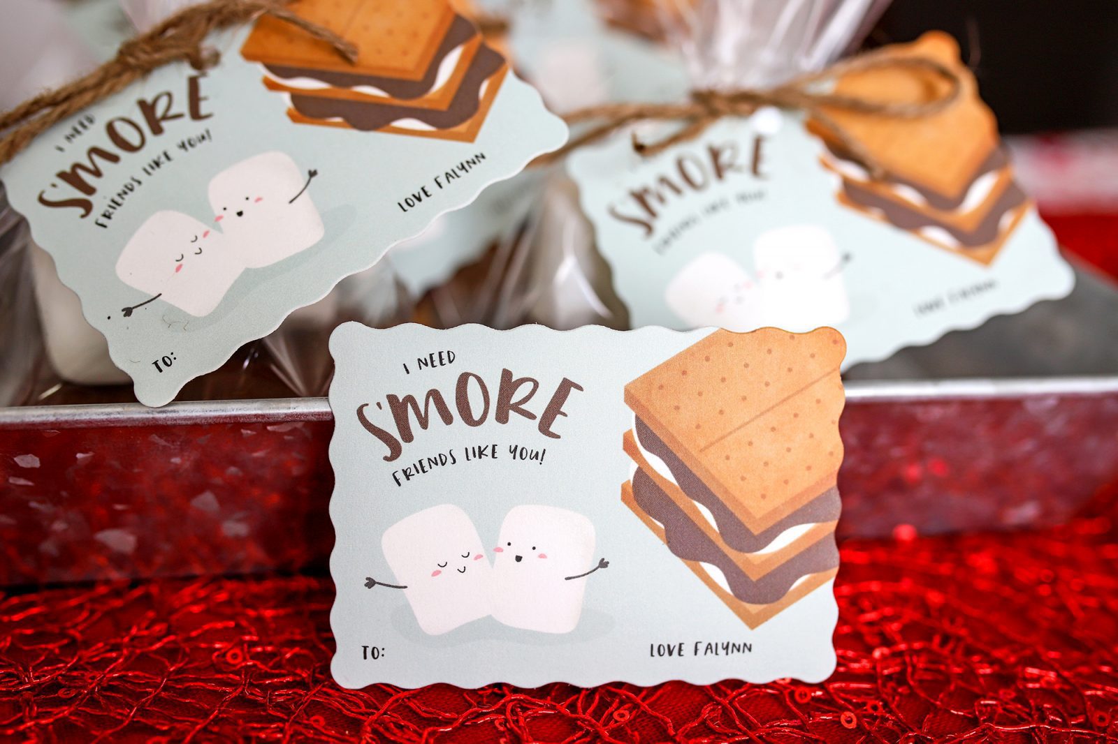 I Need S'more Friends Like You Valentines Day Gifts - The Super Mom Life