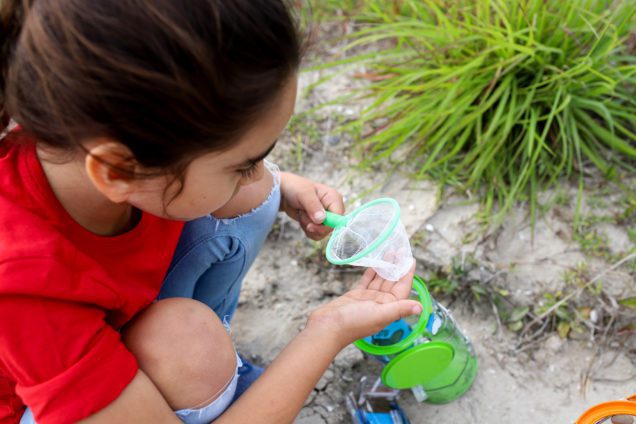 Reel Life Moments with Just Add Nature Kits - The Super Mom Life
