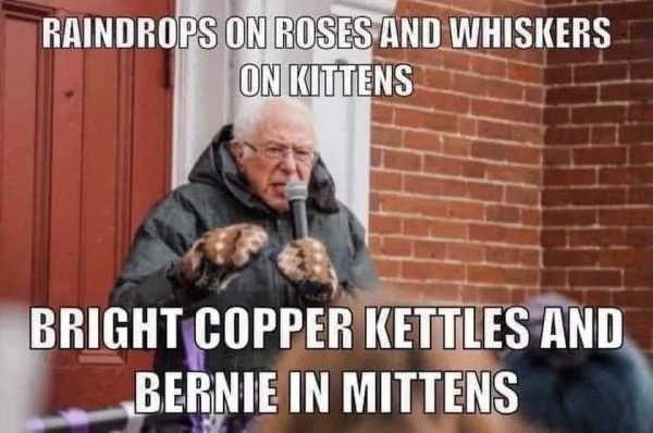 Bernie in Mittens - A Collection of Awesome - The Super Mom Life