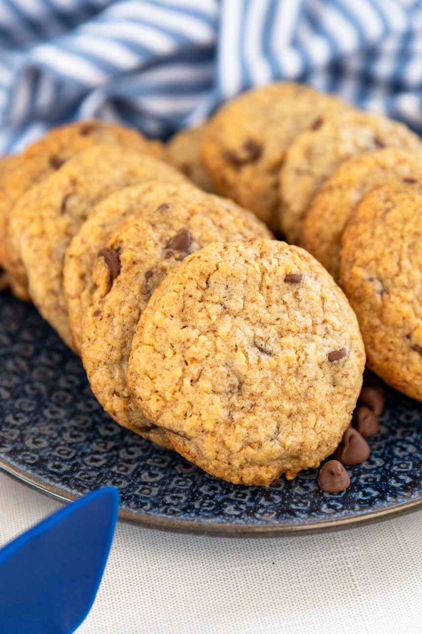 Passover Chocolate Chip Cookies