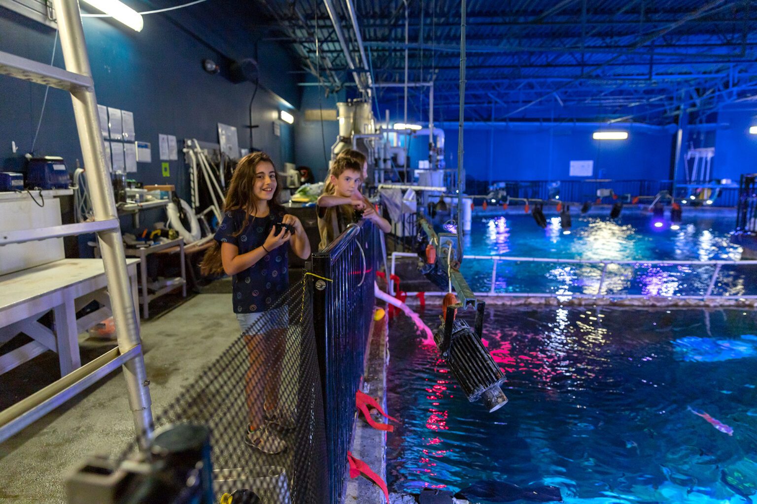SEA LIFE Aquarium Behind the Scenes Tour - The Super Mom Life