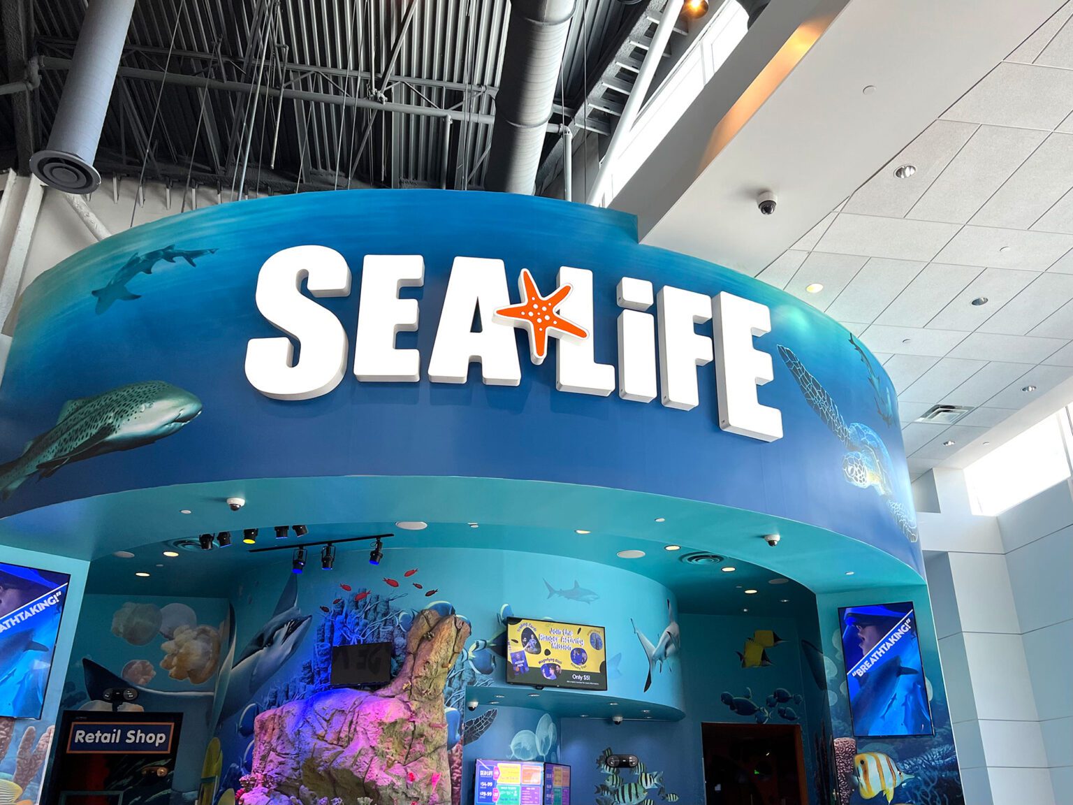 SEA LIFE Aquarium Behind the Scenes Tour - The Super Mom Life