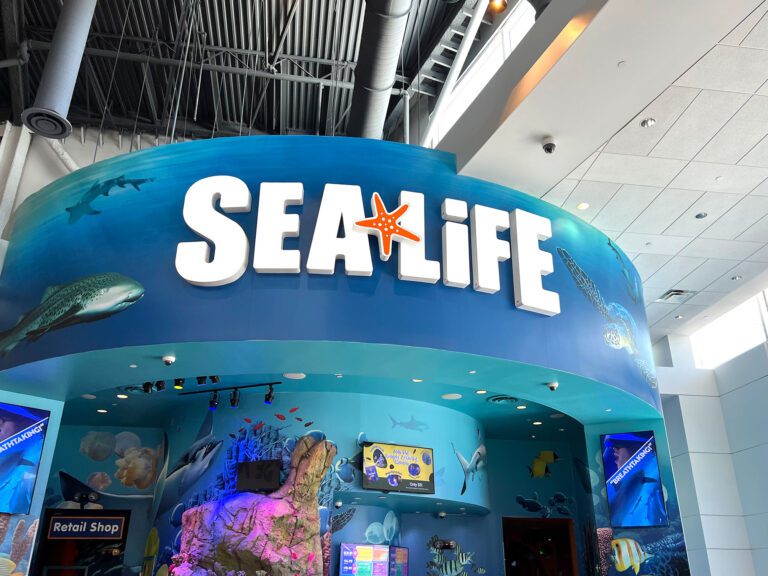 SEA LIFE Aquarium Behind the Scenes Tour - The Super Mom Life
