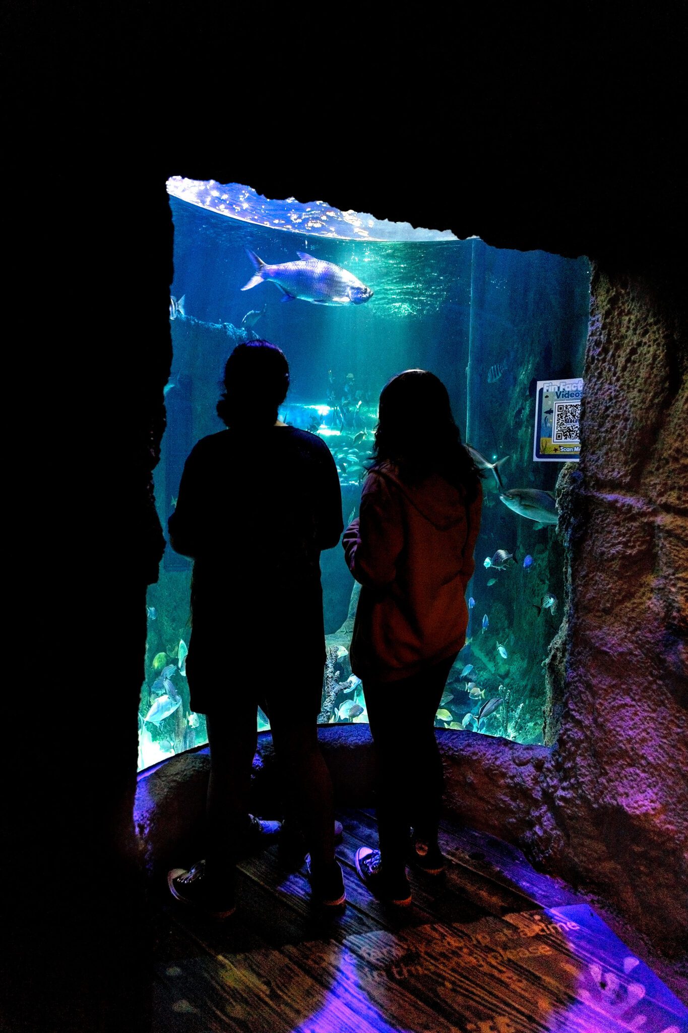 SEA LIFE Aquarium Behind the Scenes Tour - The Super Mom Life