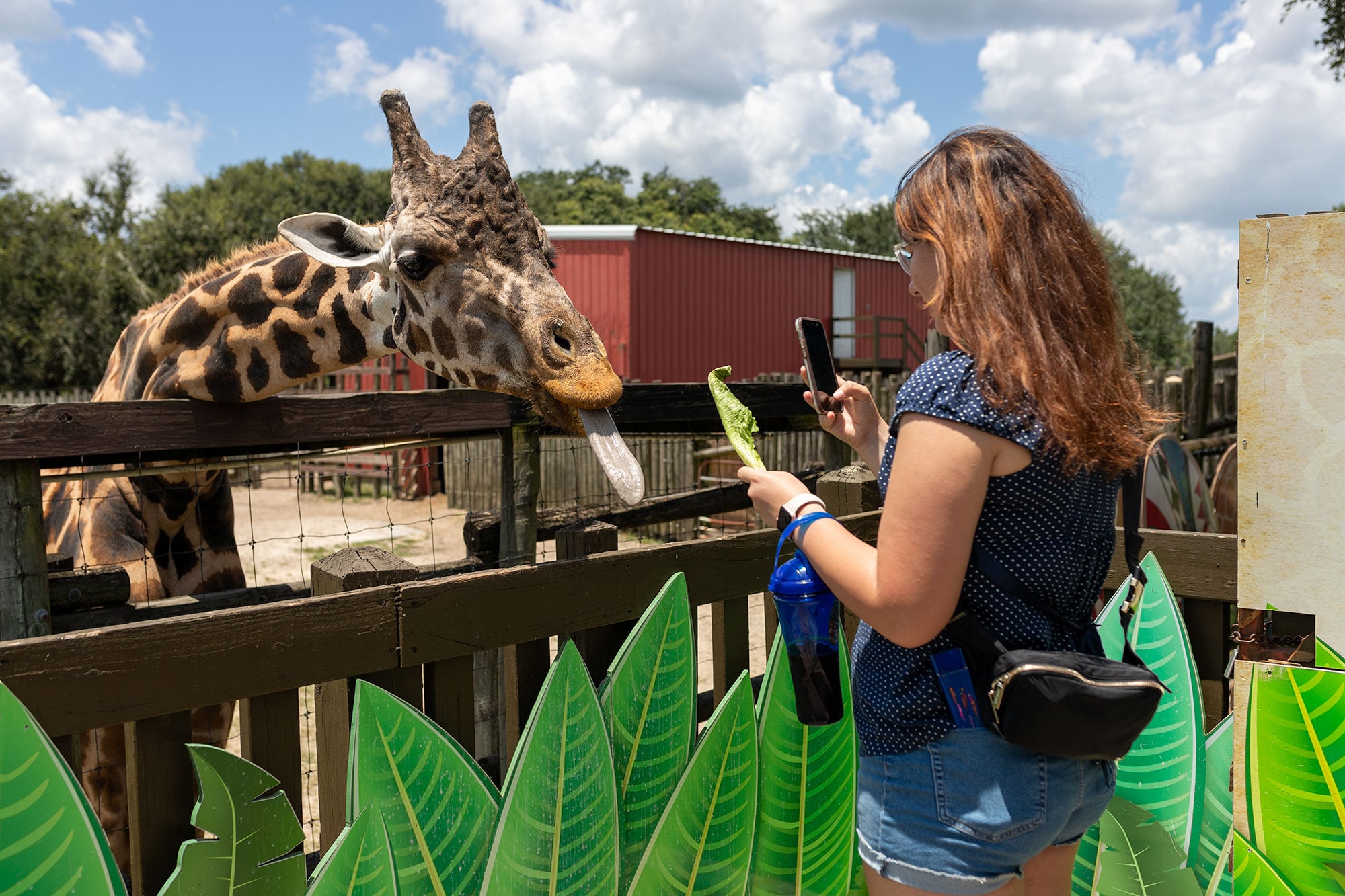 Wild Adventures Valdosta: Real Family Review - The Super Mom Life