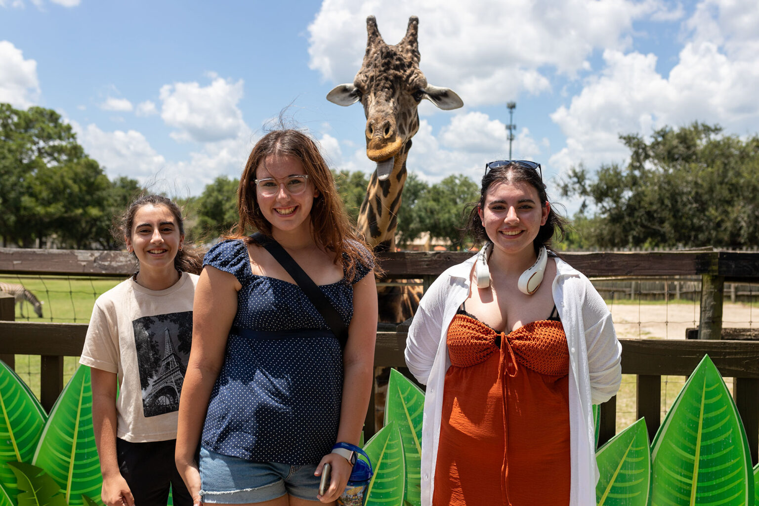 Wild Adventures Valdosta: Real Family Review - The Super Mom Life